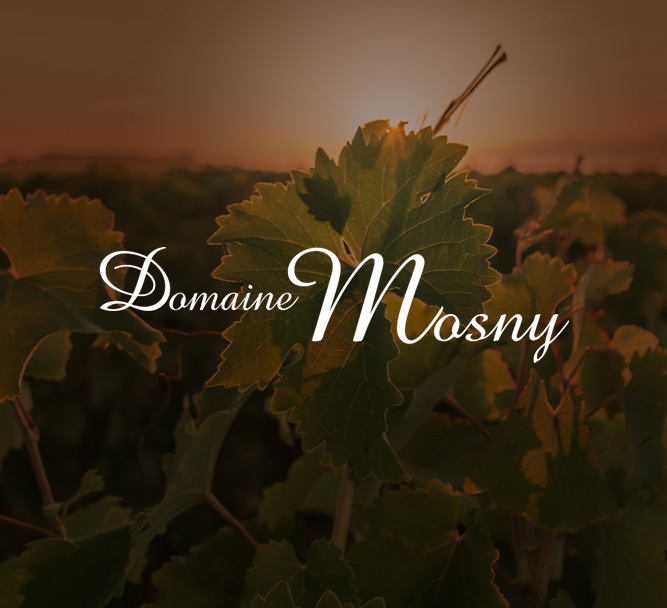 Realisations print web, logo, charte graphique, photo, objets cadeaux...